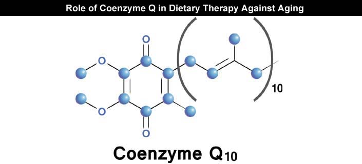 What is the Function of Coenzyme Q in Anti-Aging Therapy