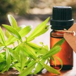 Organic Oils For Body Scrubs: The 15 Best Uses of Organic Oils