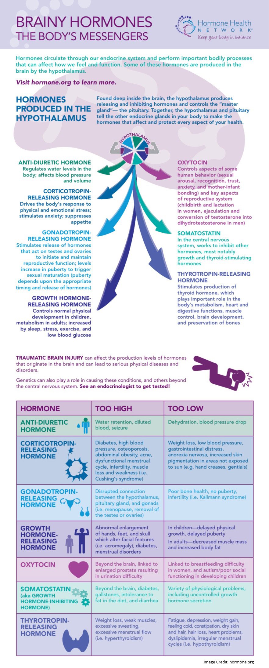 Hormone Imbalance A Comprehensive Overview