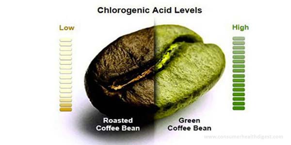 Chlorogenic Acid: Health Benefits and Possible Side Effects
