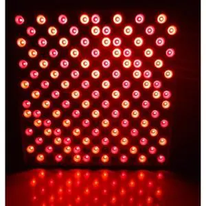 GembaRed Light Therapy Review - Is It Safe For Body Health?