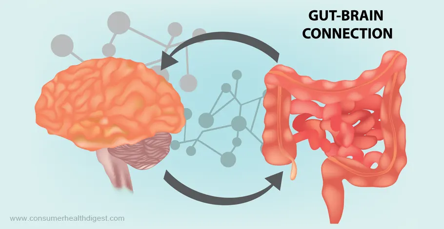 Gut-Brain Connection: The Link Between Digestion and Mood