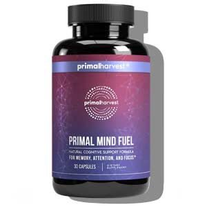 27 Best Memory Pills in 2023 That Actually Work