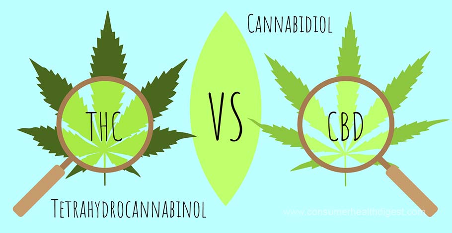 Thc Vs Cbd Unterschiede Medizinische Vorteile Und Nebenwirkungen