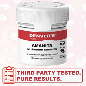 The Best Amanita Gummies: Tasty Way to Relax and De-Stress